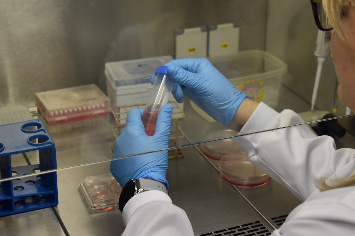 CEP - O que é o sistema CEP/CONEP? - UFPI